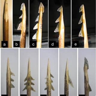 Examples Of Different Arrow Geometries Download Scientific Diagram
