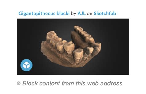 Solved Compare Gigantopithecus Teeth And Jaw To A Gorilla