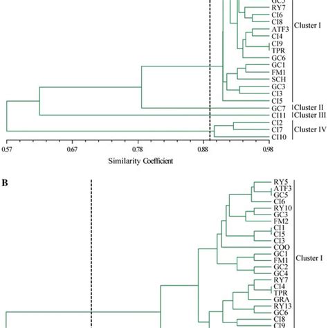 Dendrogram Plot For 29 Accessions Based On Cluster Analysis Of Ssr