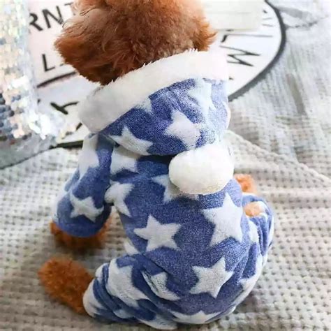 Комбинезон для собак мелких пород и кошек Arnydog "Звезда" голубой, XL ...