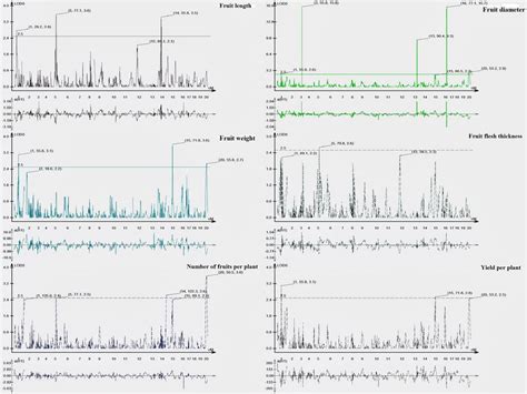 Qtl Lod Plot Generated Using Qtl Cartographer For The Fruit Traits Of