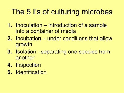 Ppt Mastering Microbial Culturing Techniques Powerpoint Presentation