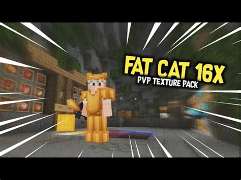 Fat Cat 16x By Looshy Mcpe Pvp Texture Pack Youtube