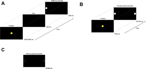 Experimental Paradigm For A Reflexive Saccade Task Example Shows A