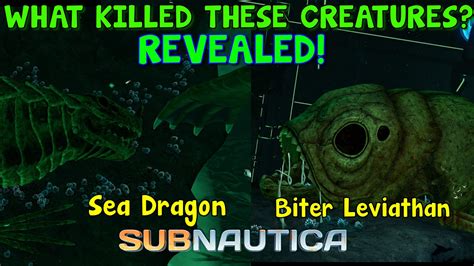 What Killed The Sea Dragon And Biter Leviathan Revealed Subnautica