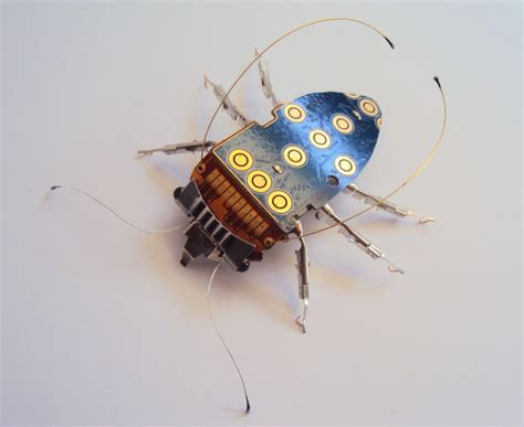 Cockroach Etsy Insect Art Cockroaches Insects