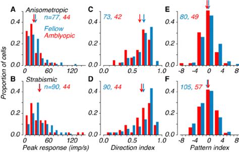 Distributions Of Visual Response Properties Download Scientific Diagram