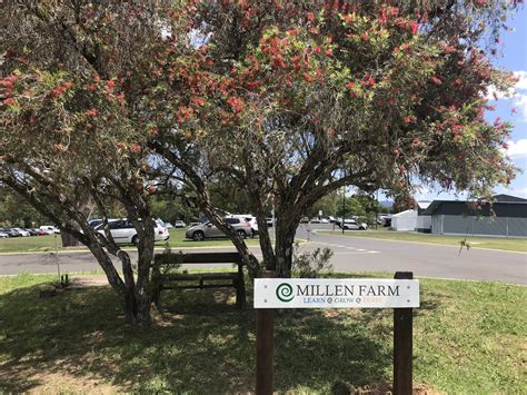 Brisbane Backyard Bees To All Followers Of Brisbane Backyard Bees Thank You For Supporting