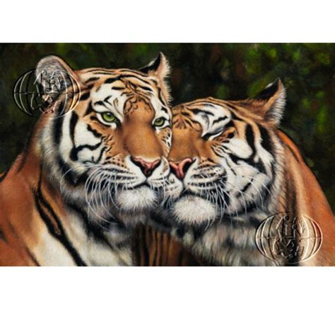 Pussel Tigrar 1000 Bitar