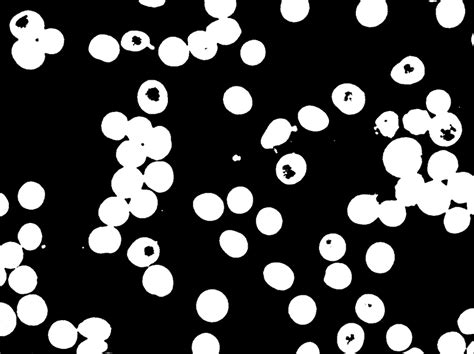 segmented binary images and their contours the split points are shown