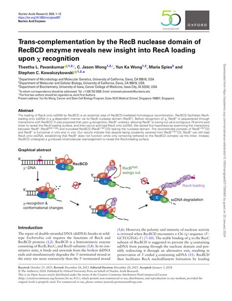 Pdf Trans Complementation By The Recb Nuclease Domain Of Recbcd Enzyme Reveals New Insight