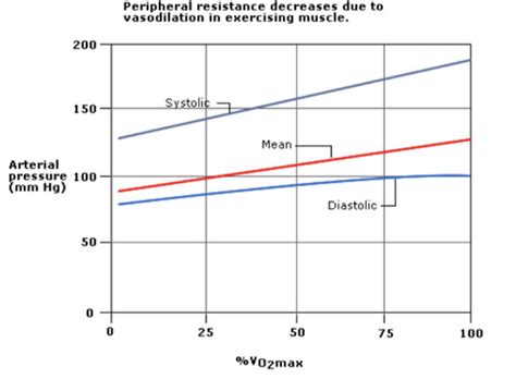 Physiology CVS 14 Physiology Of Exercise And CPX Testing Flashcards Quizlet