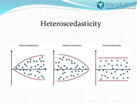 Heteroscedasticity Eonomics