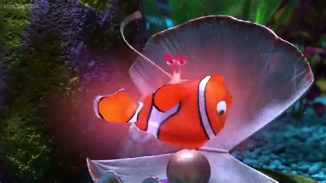 Fish Tank Cleaning Shrimp At Billy Mcmanus Blog