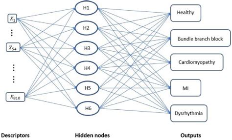 The Structure Of Fully Connected Neural Network With One Hidden Layer Download Scientific