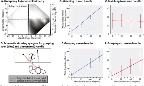 Figure 2 From Reciprocal Interactions Among Parietal And Occipito Temporal Representations