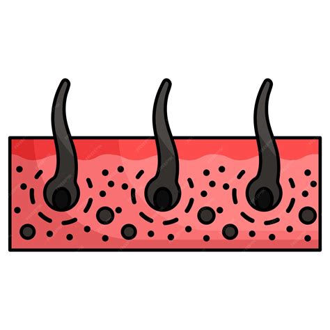 Premium Vector Skin Diseases Of The Scalp Dermatitis And Skin Allergies Vector Design Beauty