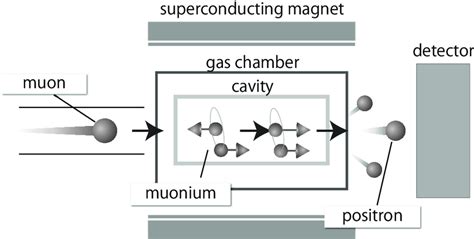 A Schematic View Of The Setup For This Experiment Download Scientific Diagram