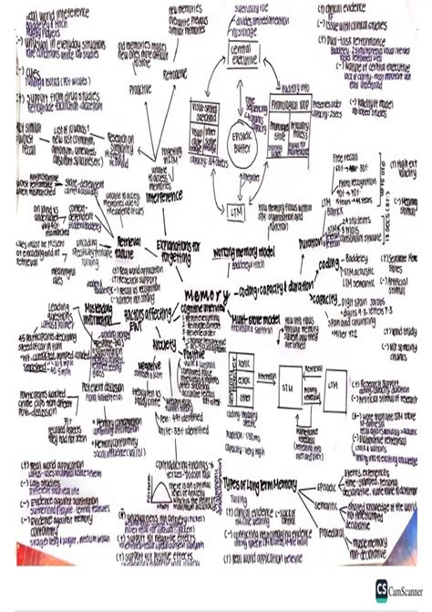 aqa a level psychology memory mindmap summary as content psychology stuvia uk