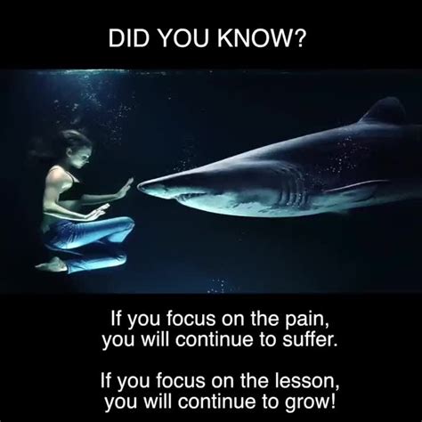 [video] Manish Rana Posted On Linkedin