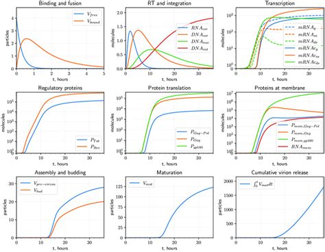 Numerical Solution Of The Deterministic Model Of Hiv 1 Replication Download Scientific Diagram