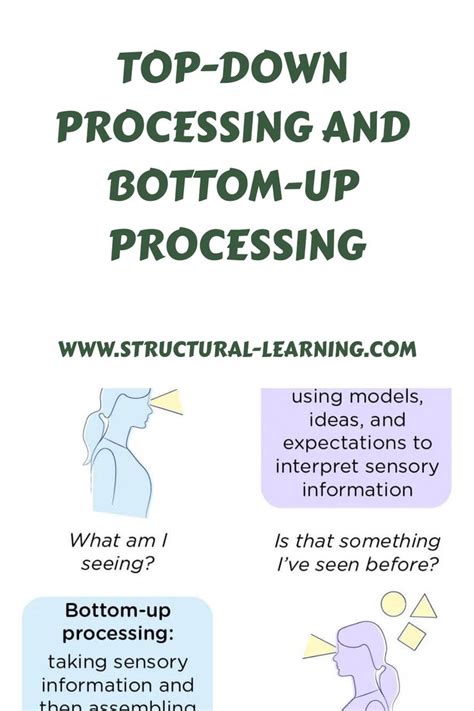 Top Down Processing And Bottom Up Processing Multisensory Teaching Phonics Interventions
