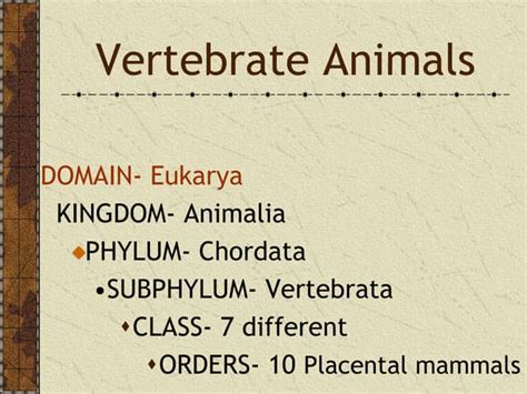 Invertebrates Class Ppt Ppt