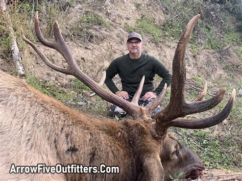 Arrow Five Photo Gallery