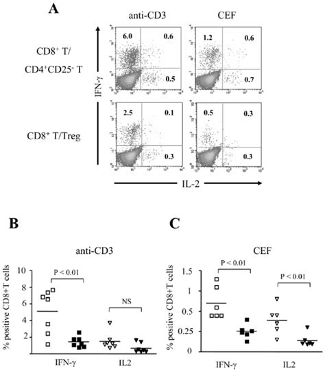 Treg Inhibit The Cytokine Expression After Polyclonal And Download
