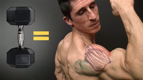 Dumbbell Shoulder Workout Sports Health And Wellbeing