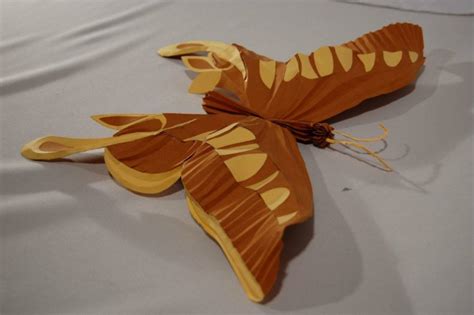 Бумагопластика схемы шаблоны описание техники для начинающих Пошаговый мастер класс по