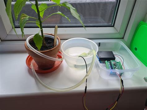 Plantypi Raspberry Pi Pico Plant Watering Device 6 Steps With