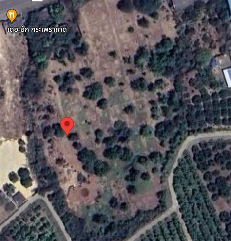 ขายที่ดิน 4 ไร่ ต ดอยหล่อ อ ดอยดอยหล่อ จ เชียงใหม่ ที่ดินร้อยแปด คอม