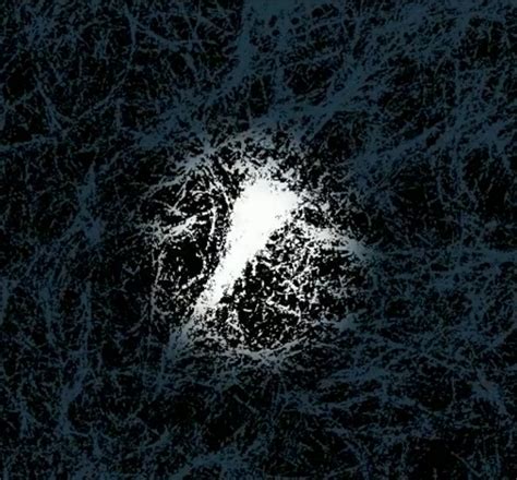 Random Walk Model For Cancer Cells Untrue In 3d Softpedia