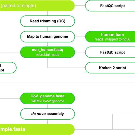 Metatranscriptome Analysis For Covid 19 Patients The Schematic Chart