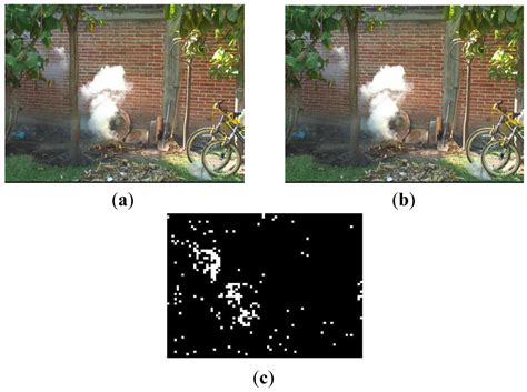 Sensors Free Full Text An Early Fire Detection Algorithm Using IP Cameras