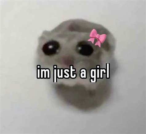 Im Just A Girl In 2024 Cute Texts Quick Jokes Just Girl Things