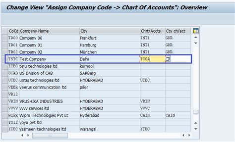 Sap Fi Assign Company Code To Chart Of Account