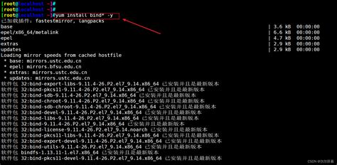 Linux Dns 域名解析服务(bind正向解析、主从复制)bind主从 Csdn博客 Linux Dns 域名解析服务(bind正向解析、主从复制)bind主从 Csdn博客