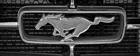 무료 이미지 검정색과 흰색 바퀴 상징 단색화 타이어 그릴 상표 범퍼 세례반 초차 포드 심벌 마크 무스탕 문자들 특색 흑백 사진 자동차 제조