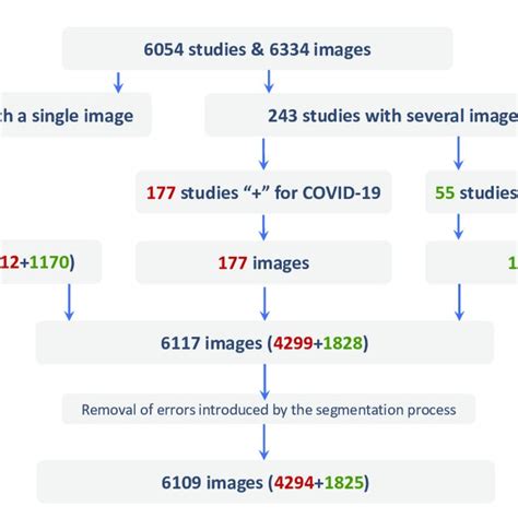 Schema Representing The Process Followed To Identify The Samples Used