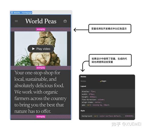 Figma 开发者模式操作指南 开发篇 知乎