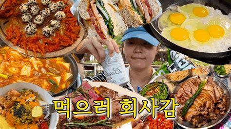 직장인 브이로그인데 먹는것밖에 없음 Youtube