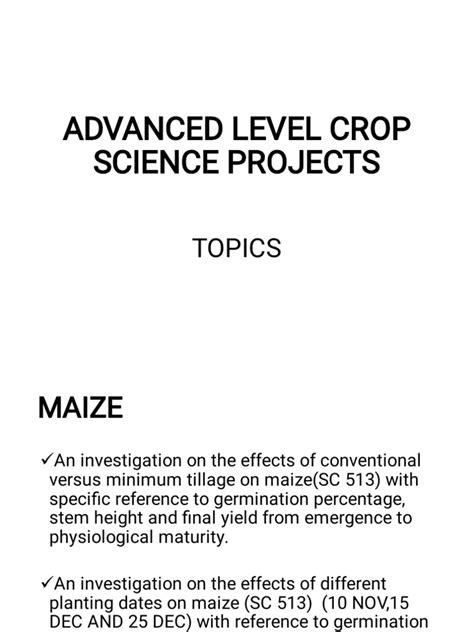 Excel Advanced Level Pdf Legume Soybean