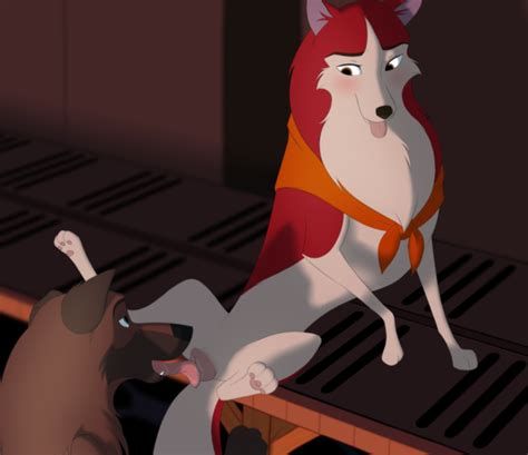 Rule 34 Animal Genitalia Animal Pussy Balto Film Blush Boiler Room