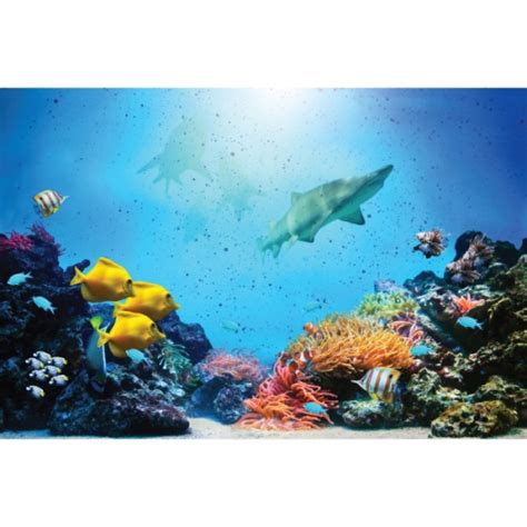 디자인다소 여름배경현수막 바다 상어 671