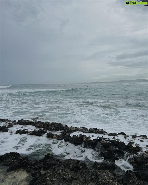 Stephanie Raz Wiki Biography Age Gallery Spouse And More