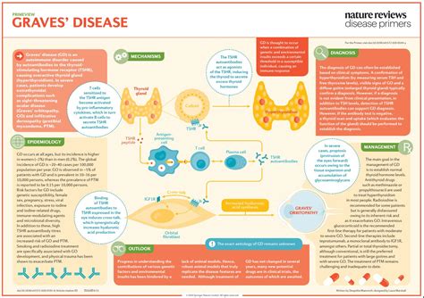 Medicine Graves Disease Autoimmune Disorder Doctors Without Waiting