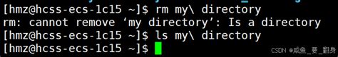 Linux基本命令篇 —— Rm命令linux Rm Csdn博客